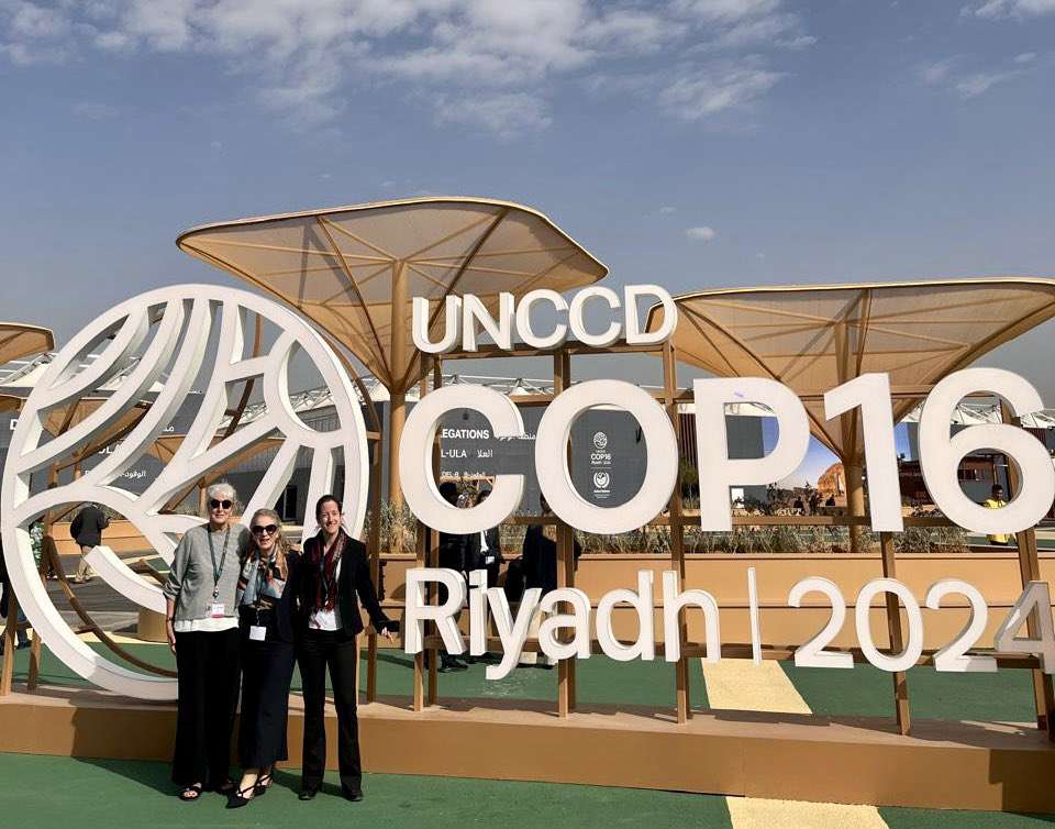 بث مباشر.. انطلاق فعاليات مؤتمر الأطراف COP16 لاتفاقية الأمم المتحدة ...